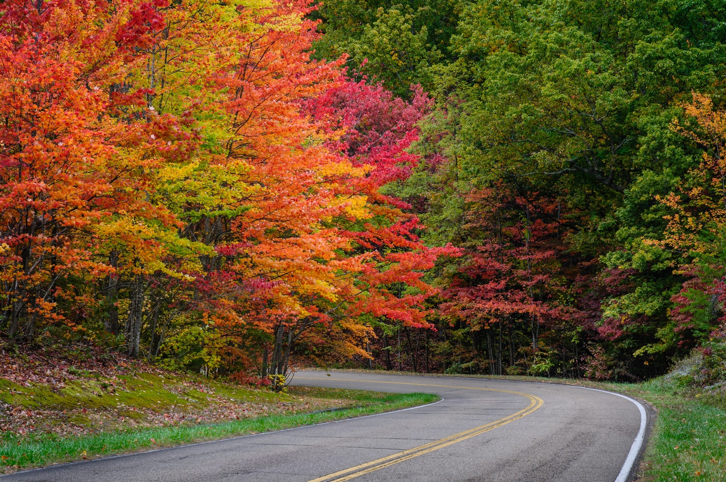 Skyline Drive – The Best Place to Enjoy Fall Foliage - Avenue Realty